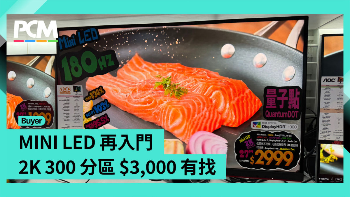 【場料】MINI LED 再入門 2K 300 分區 $3,000 有找 - PCM